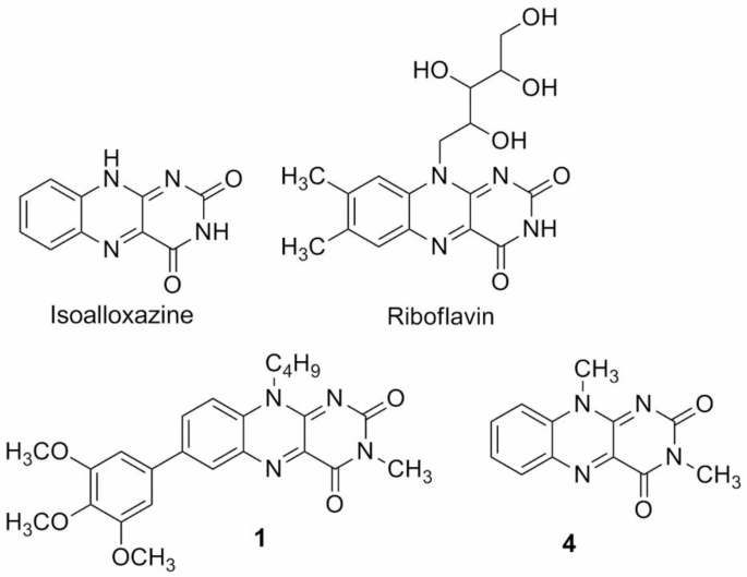 Fast singlet excited-state deactivation pathway of flavin with a ...