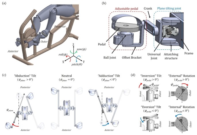Feasibility of a new bicycle ergometer with adjustable pedaling ...