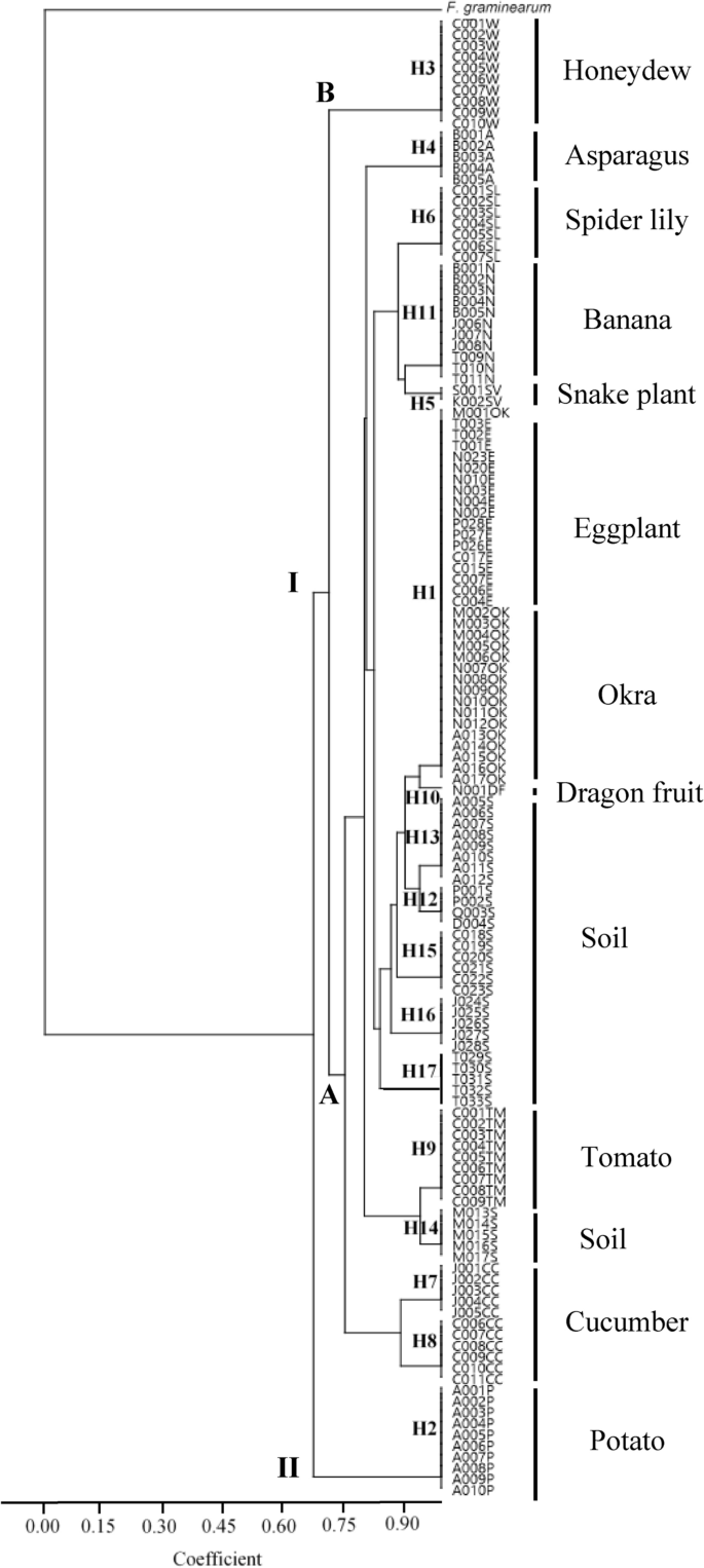 Molecular phylogeny and genetic diversity of Fusarium oxysporum from ...