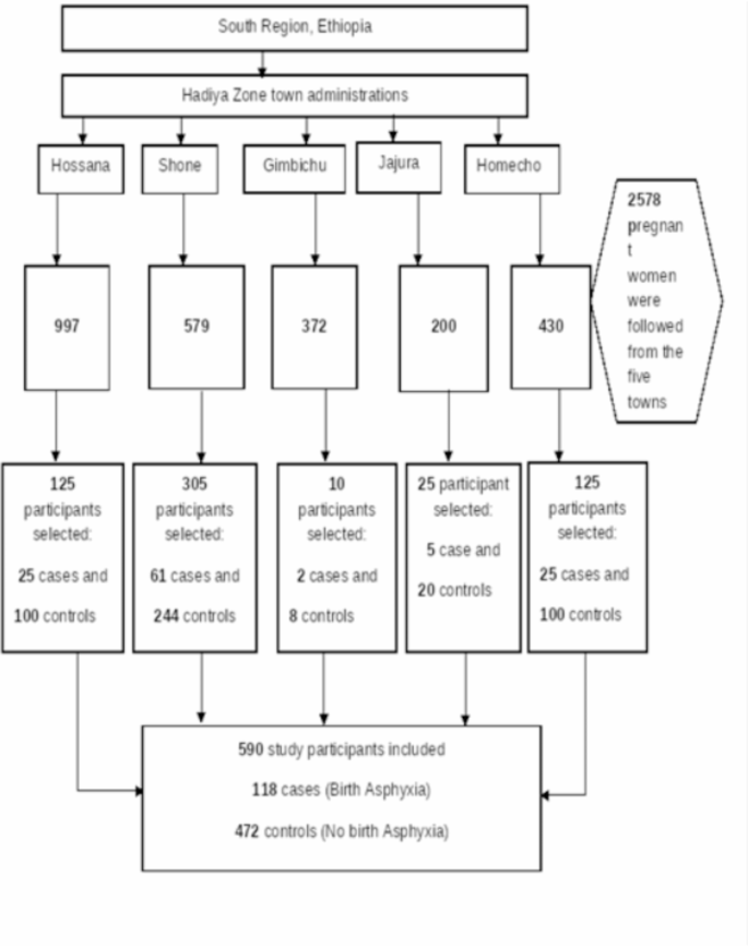 Determinants of birth asphyxia in urban south Ethiopia | Scientific Reports