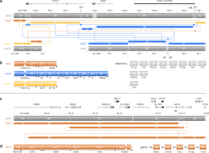 Full characterization of unresolved structural variation through long ...