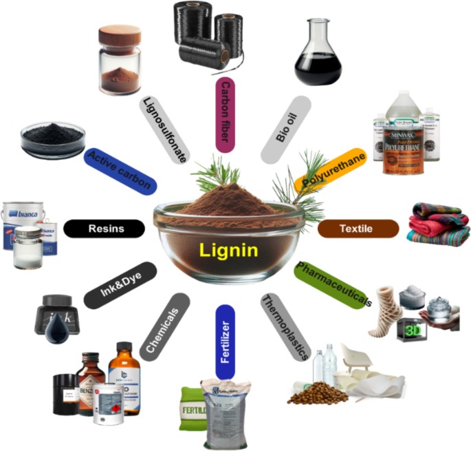 Development of high-performance biocomposites through lignin ...