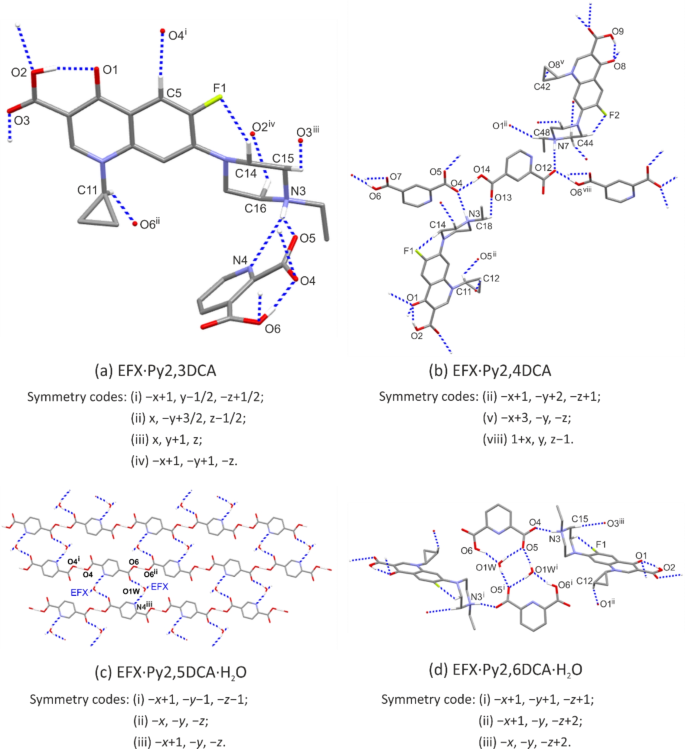 Enhancing the solubility and antibacterial activity of novel molecular ...