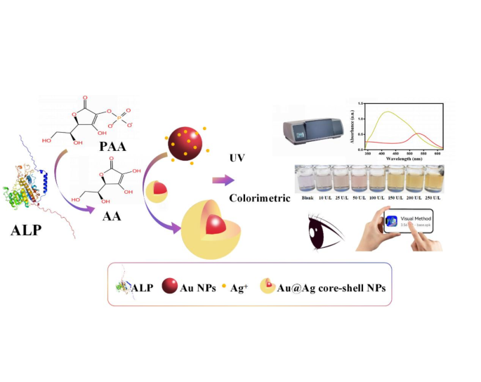 A novel optical strategy for ALP detection and development of matched ...