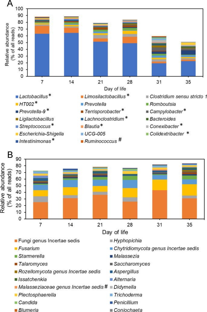 Temporal dynamics in the composition of metabolically active bacteria ...