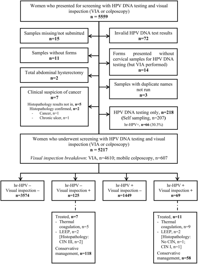 Nationwide cervical precancer screening in Ghana: concurrent HPV DNA ...