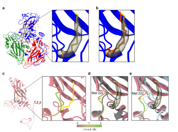 DMSO might impact ligand binding, capsid stability, and RNA interaction ...