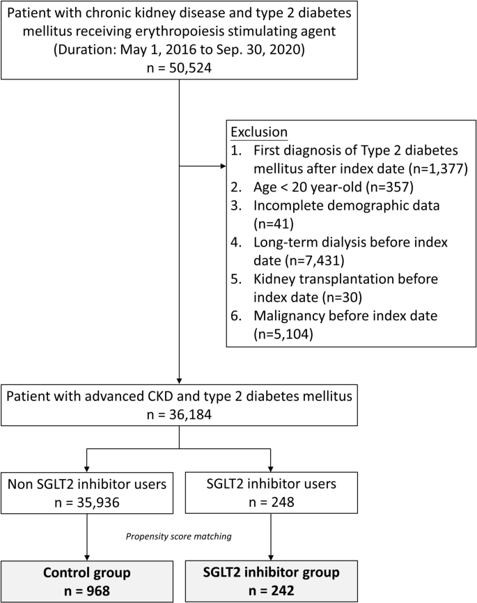 SGLT2 inhibitors reduce the risk of renal failure in CKD stage 5 ...