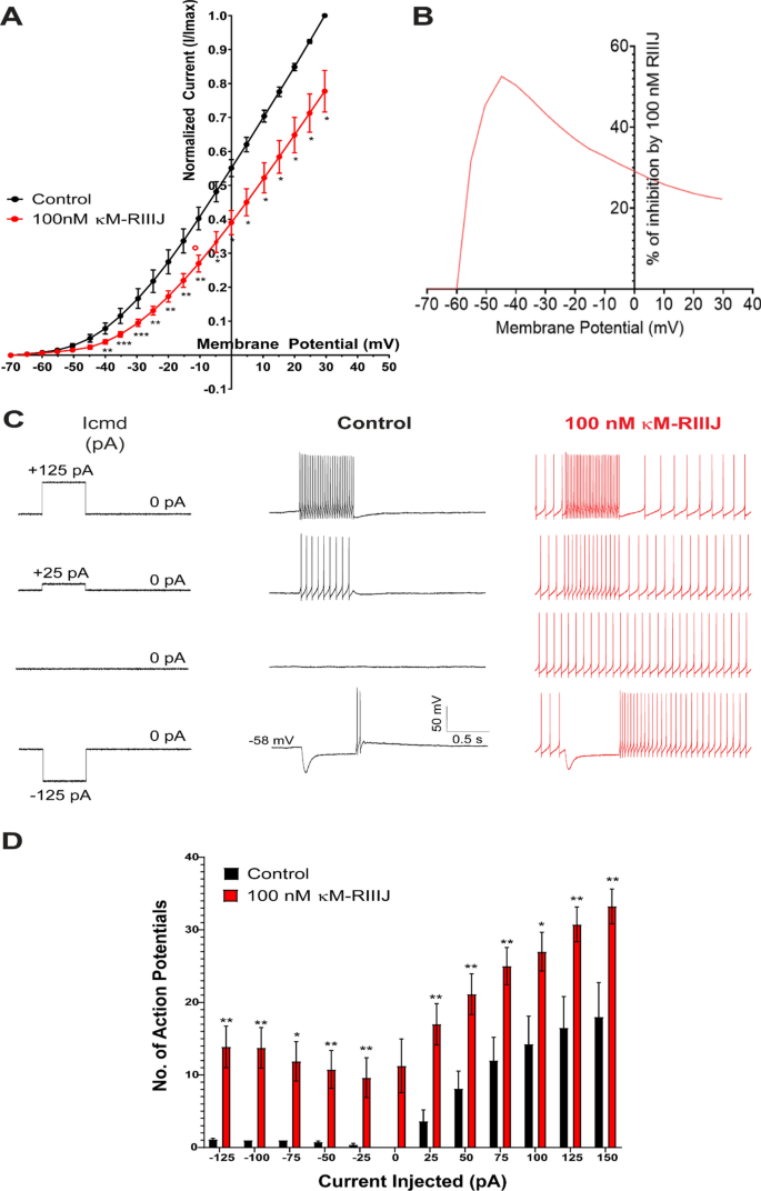 Conotoxin kM-RIIIJ reveals interplay between Kv1-channels and ...
