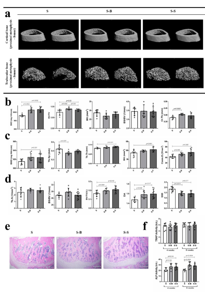 Short bouts and long-term exercise reduce sedentary-induced bone loss ...