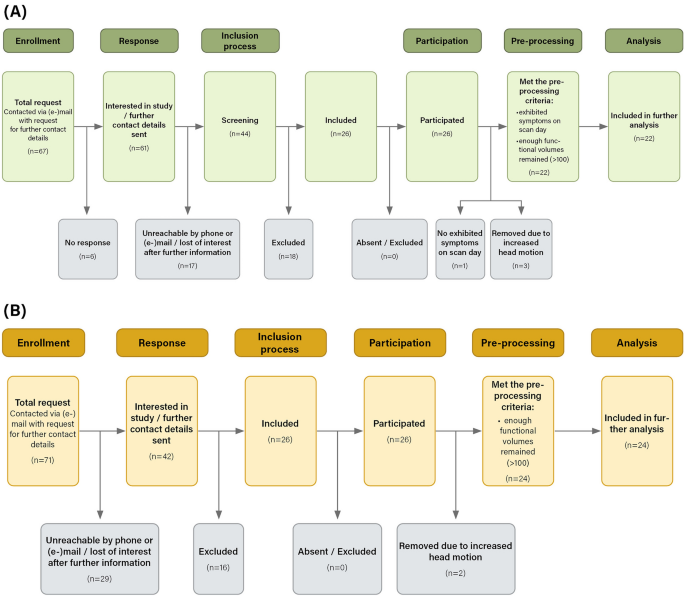 Investigating brain activity at rest in patients with persistent ...
