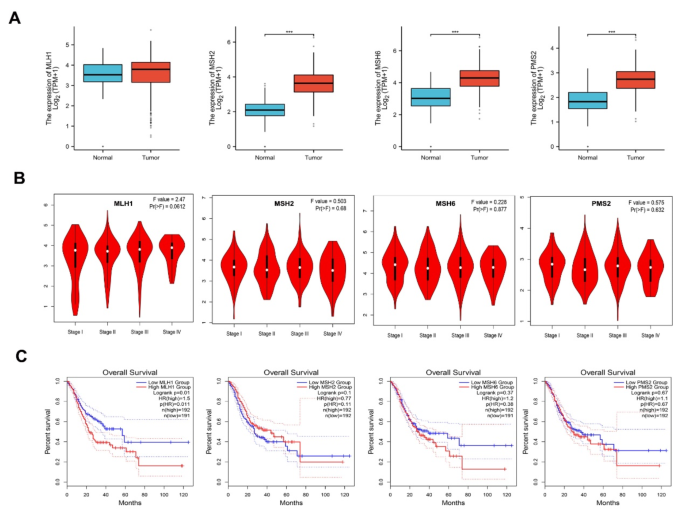 The prognostic and immunomodulatory role of the MMR system in patients ...