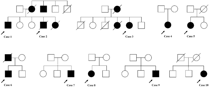 Clinical spectrum of adult-onset leukoencephalopathy with axonal ...