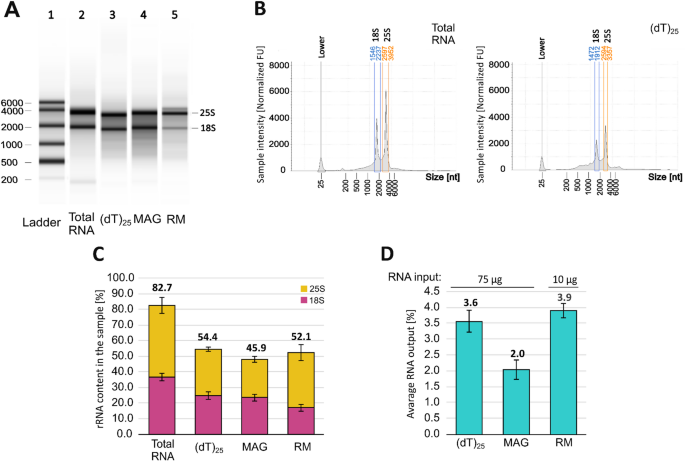 A comparative analysis of mRNA enrichment strategies and guidance for ...