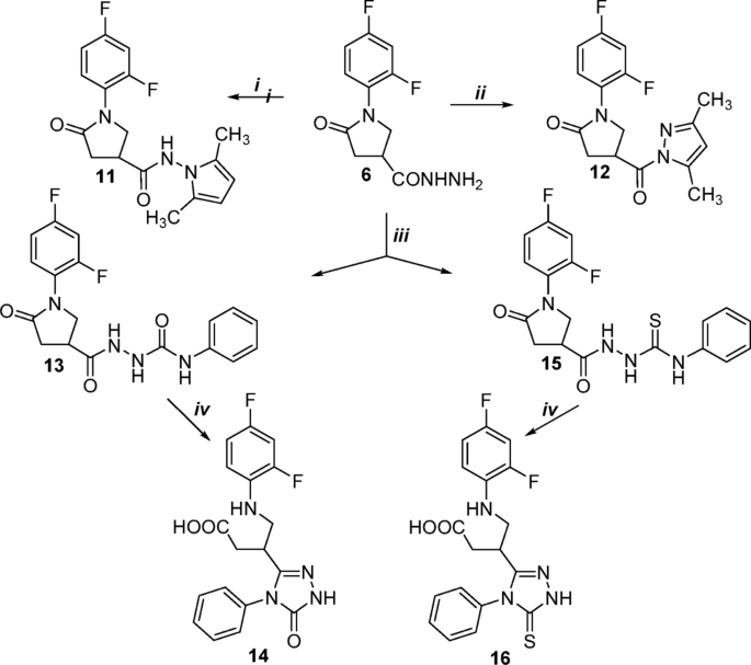 Exploration of 1-(2,4-difluorophenyl)-5-oxopyrrolidine-3-carboxylic ...