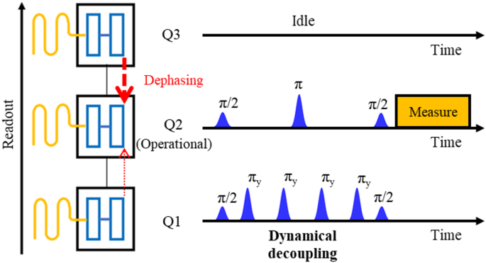 Suppressing spectator-induced dephasing through optimized dynamical ...