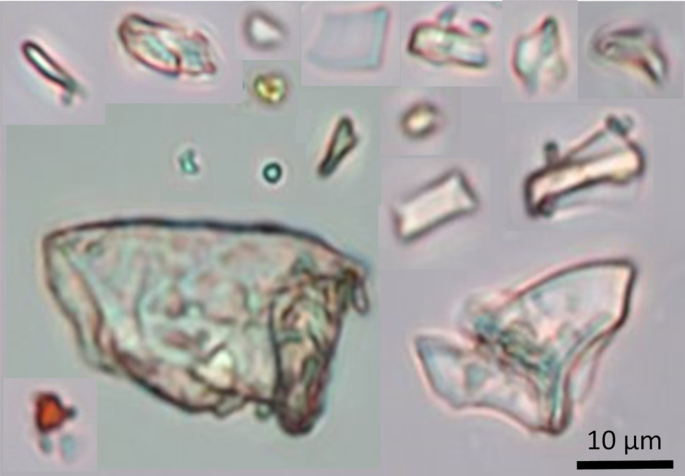 Optical trapping stability of different irregularly shaped microplastic ...