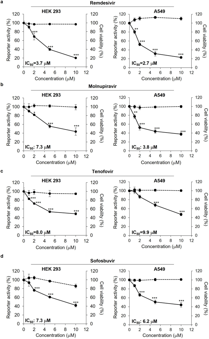 Construction and validation of a cell based reporter assay for identifying inhibitors of SARS ...