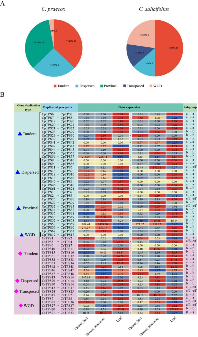 TPS genes expression pattern and terpenoids content in the leaves and ...