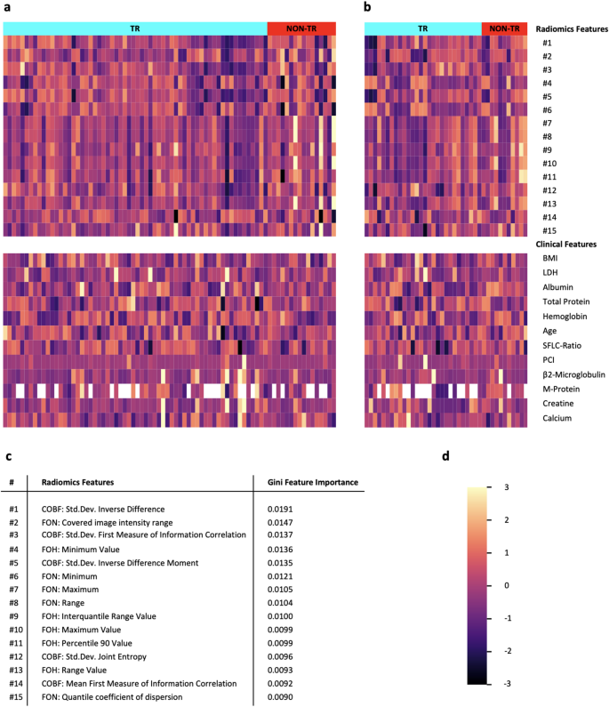 Automated radiomics model for prediction of therapy response and minimal residual disease from ...