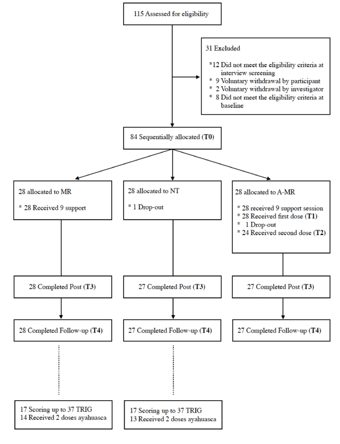 Ayahuasca-assisted meaning reconstruction therapy as an early resource ...