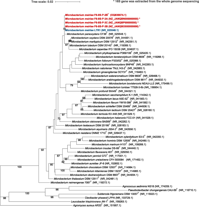 Genomic characterization of Microbacterium meiriae sp. nov., a novel ...