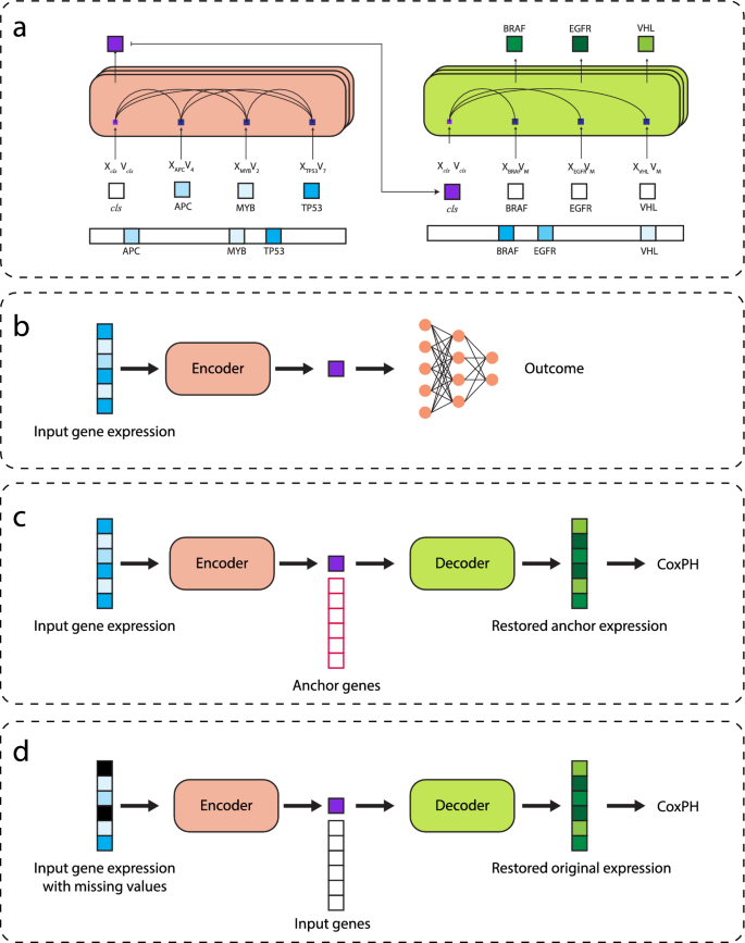 Transformer-based representation learning for robust gene expression ...