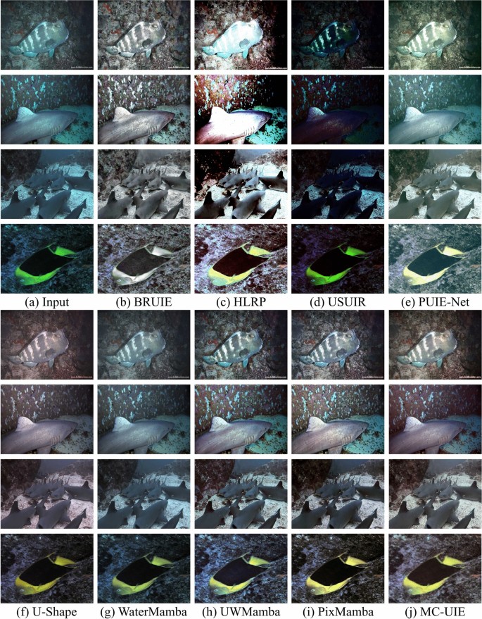 Mamba-convolution hybrid network for underwater image enhancement ...