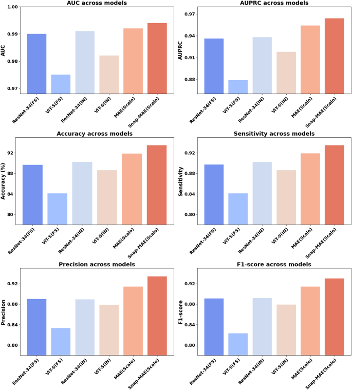 Integrating snapshot ensemble learning into masked autoencoders for efficient self-supervised ...