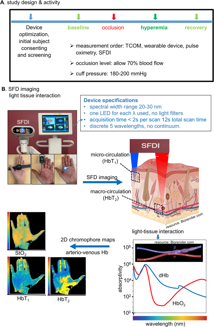 Comparative assessment of healthy tissue oxygenation using near ...