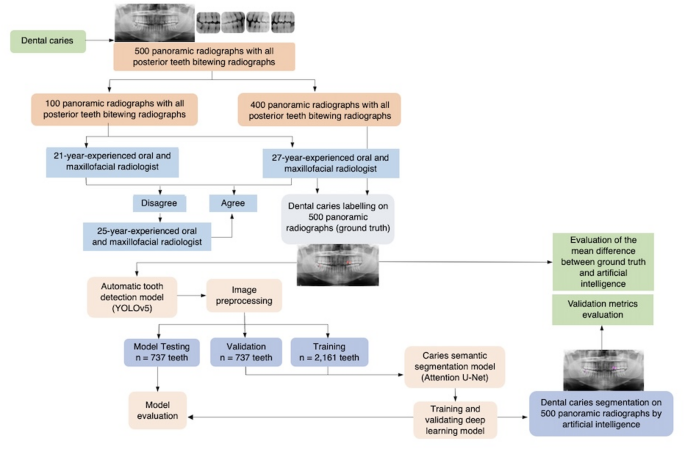 Clinical application of deep learning for enhanced multistage caries detection in panoramic ...