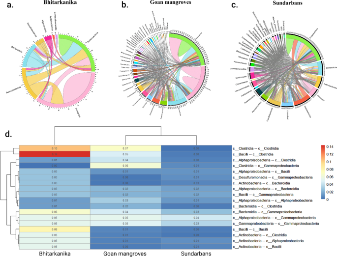 Prokaryotic co-occurrence patterns in diverse Indian mangrove ...