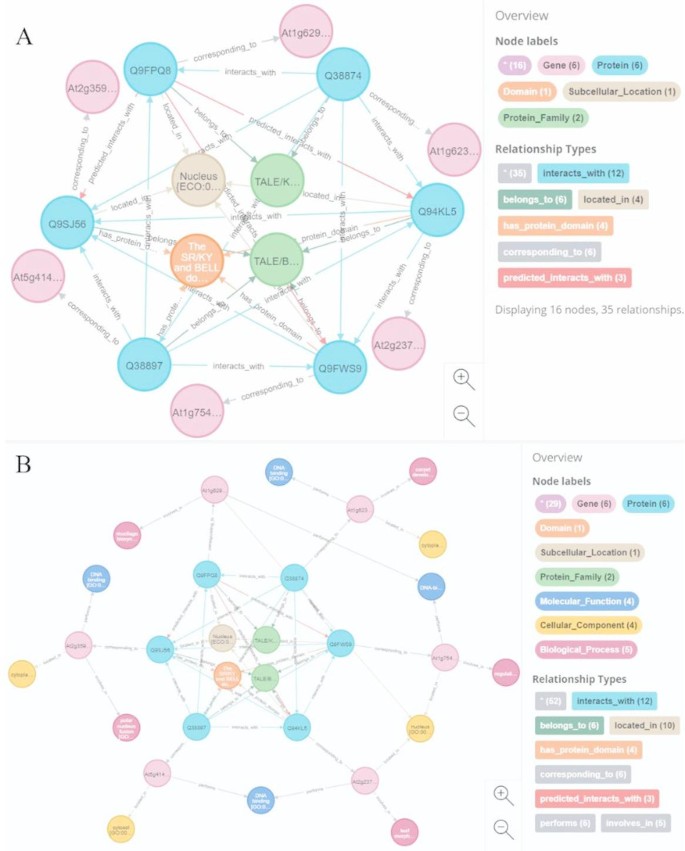 Relational subgraphs fused with complete subgraphs based on the ...