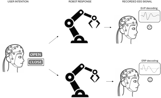 Error-related potentials in EEG signals: feature-based detection for ...