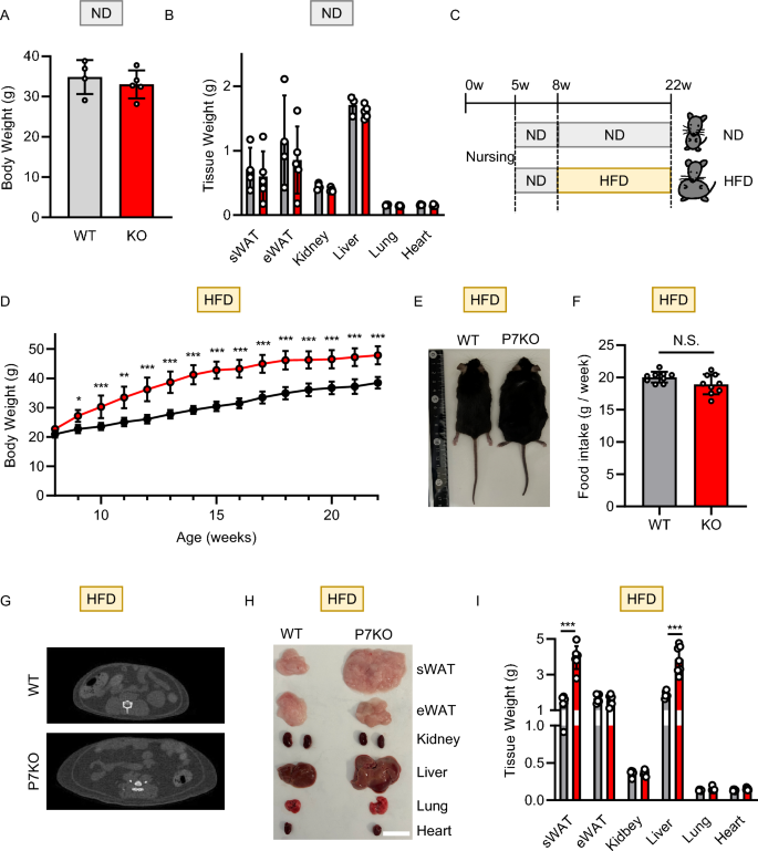 PARIS/ZNF746 DNA-binding domain deficiency promotes adipose tissue ...