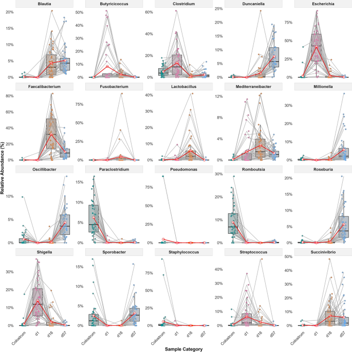 Exploring colostrum microbiota and its influence on early calf gut ...