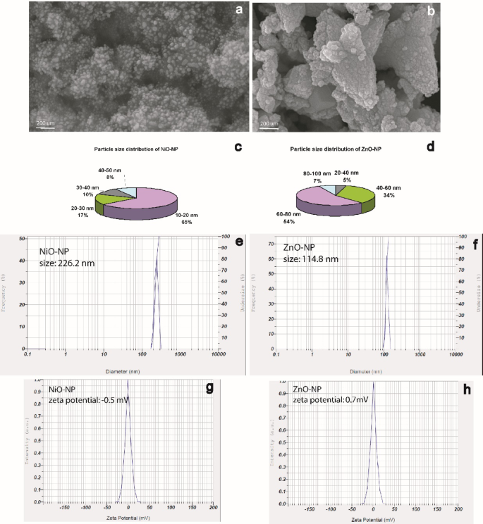 Comparable biochemical responses of three Scenedesmus species to NiO ...