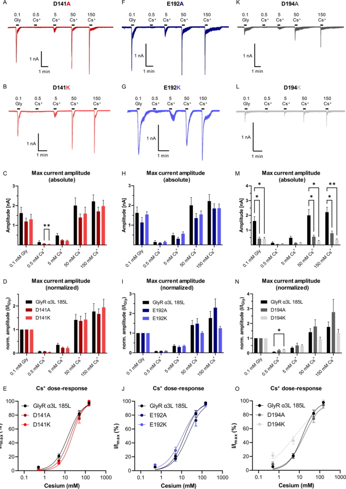 Molecular determinants of cesium- and glycine-dependent glycine ...