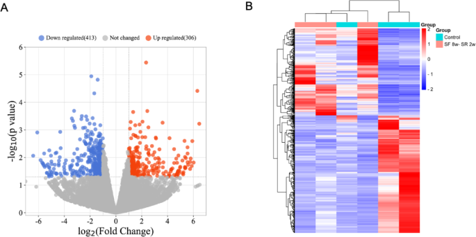 Sleep recovery alleviates impaired glucose tolerance induced by sleep ...