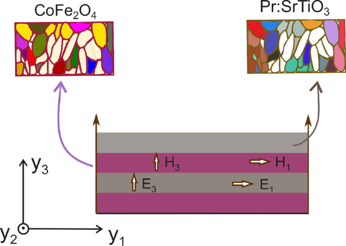 Magnetic and electric polar regions in the magnetoelectric composite ...