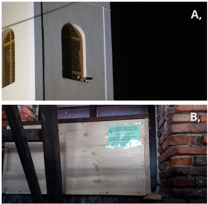 Artificial light at night (ALAN) negatively affects nest site occupancy ...