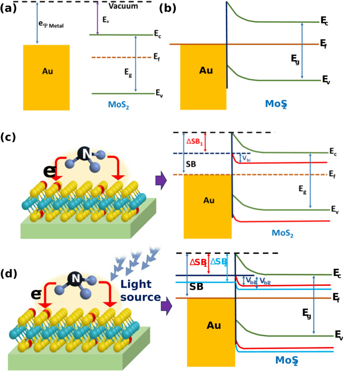 Enhancement in hazardous gas detection capabilities of MoS2 monolayer ...