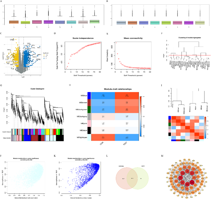 Immune genes CD247 STAT1 and LCK mediate host–pathogen interactions in ...