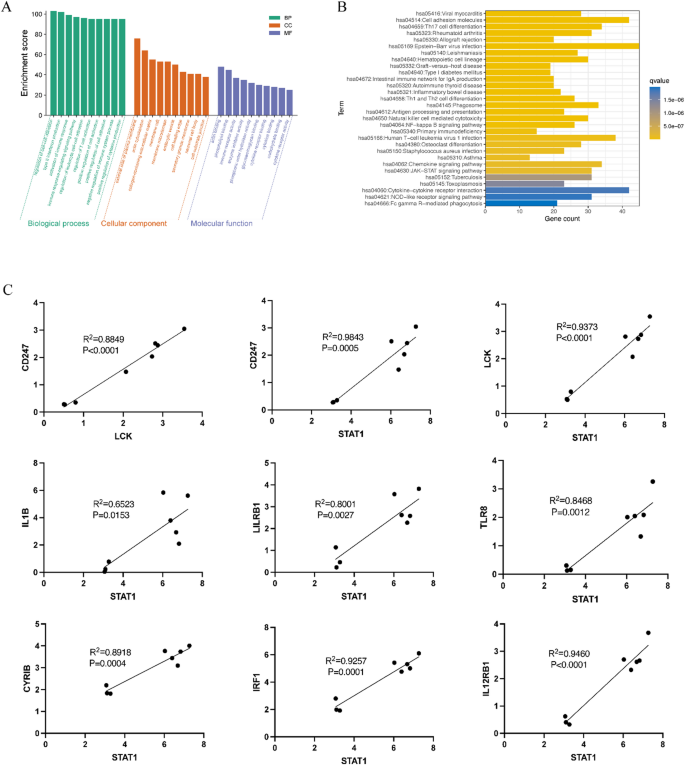 Immune genes CD247 STAT1 and LCK mediate host–pathogen interactions in ...