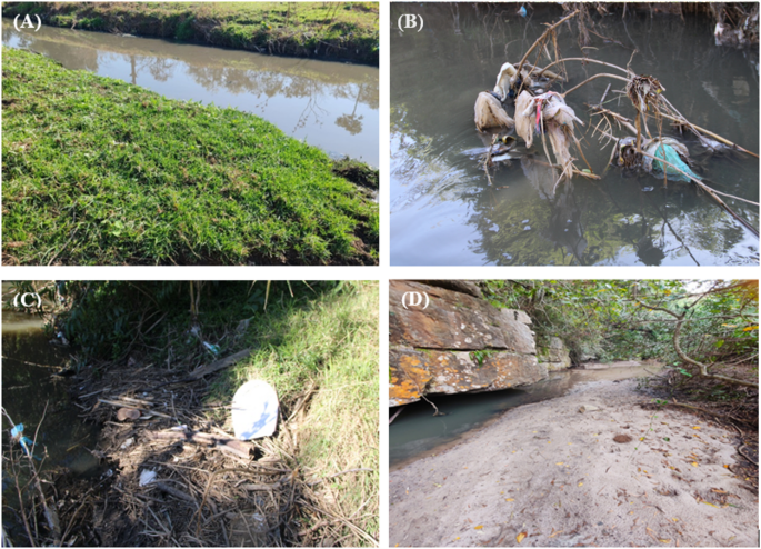 Macroplastic accumulation across different surface covers, a case study ...