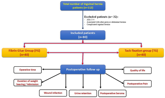 Quality of life after laparoscopic totally extraperitoneal (TEP ...