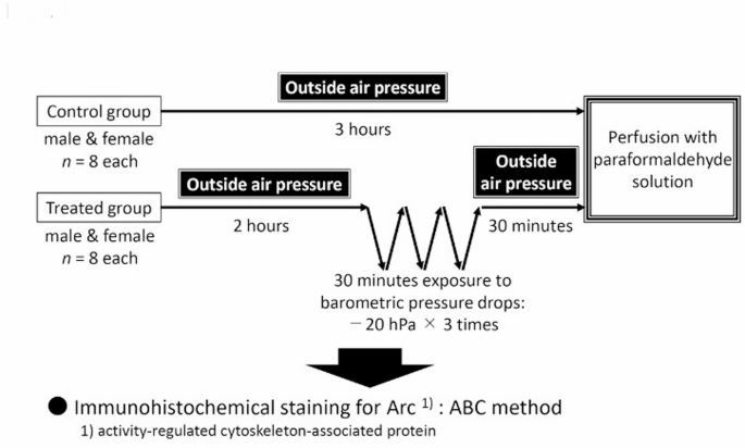 The inner ear is a barometric pressure sensor—change in barometric ...