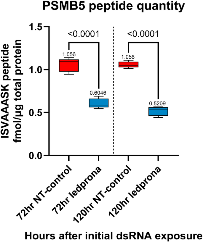 Targeting the proteasome subunit PSMB5 by RNA interference induces ...