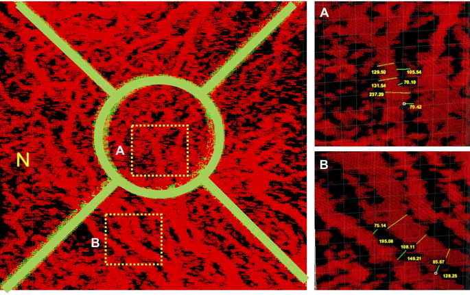 Assessment of choroidal vessels in healthy eyes using 3-dimensional ...