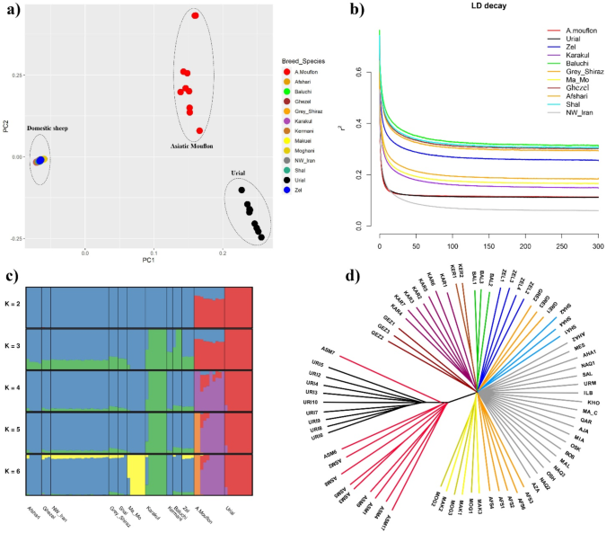 Genomic evidence of improved fertility and adaptation in Iranian ...